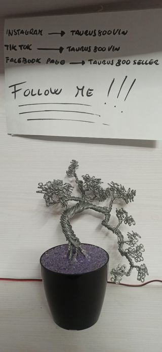 🔥Bonsai in fil di ferro🔥Lucky Bonsai