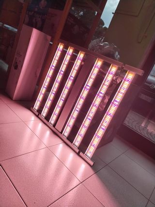 Led per coltivazione 500W