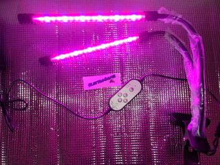 Luce led per crescita delle piante
