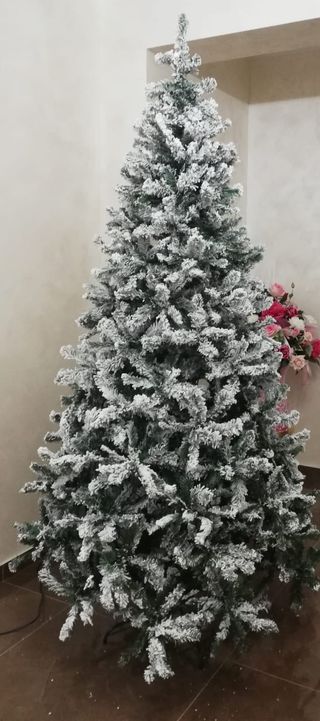 Albero di natale