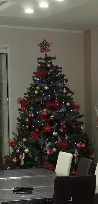 Albero di natale 240