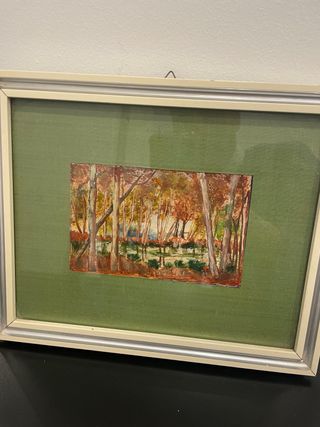 N. 2 quadri con cornice