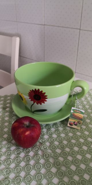 Vaso portapiante