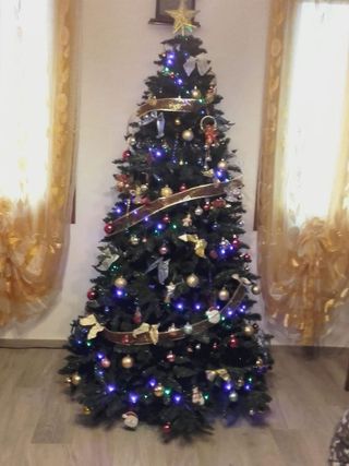Albero di natale
