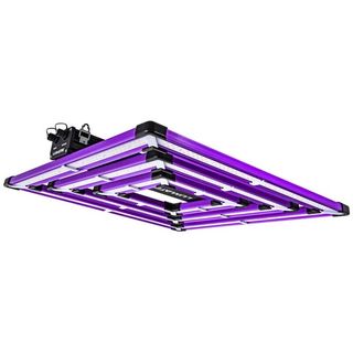 Led lumatek attis 300pro coltivazione