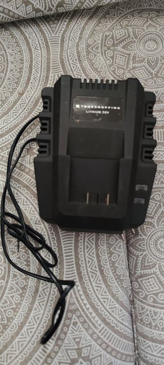 Caricabatteria e batteria
