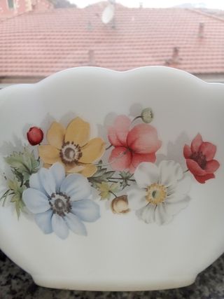 Due ciotole Arcopal vintage ed. Anemoni