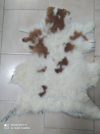 3 pelli di montone shearling bianco