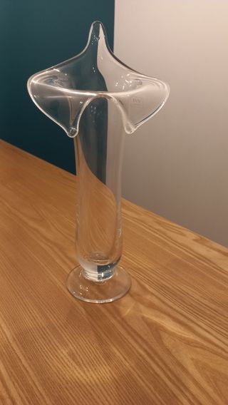 Vaso ivv