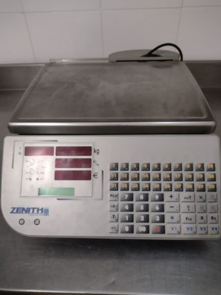 Bilancia elettronica professionale Zen