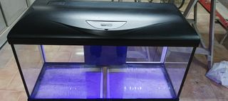 Acquario 80L