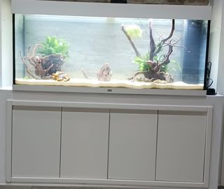 Vendo acquario juwel rio 240 come nuovo
