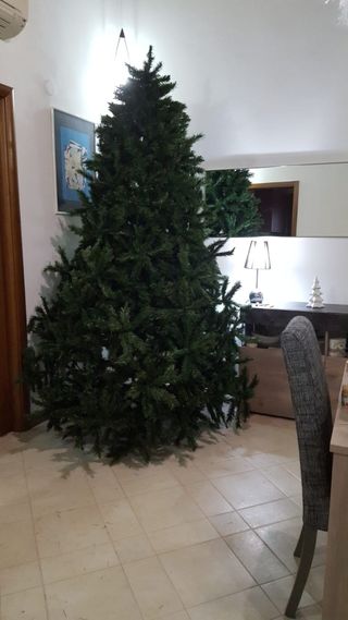 Albero di Natale