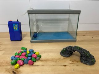 Acquario con accessori