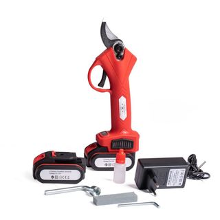 Forbici potatura elettriche 2 batterie caricatore