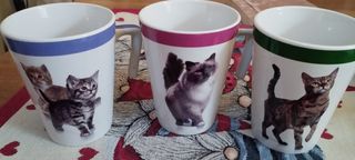 Tazze gatti