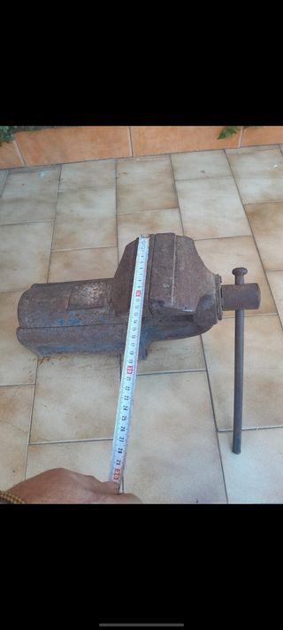 Morsa da banco