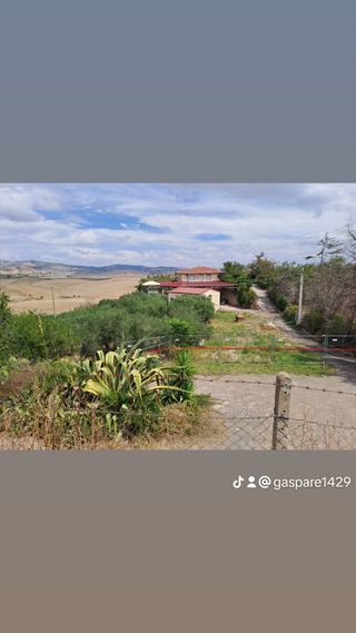 Azienda agricola con oleificio