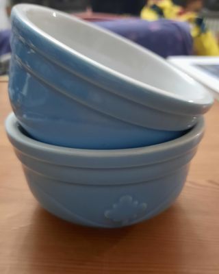 Ciotole vintage in ceramica saturnia