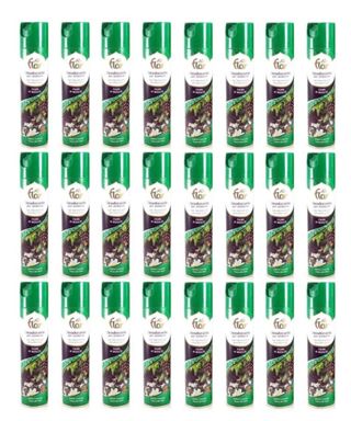 Profumatore 24 pezzi airflor 300ml frutt