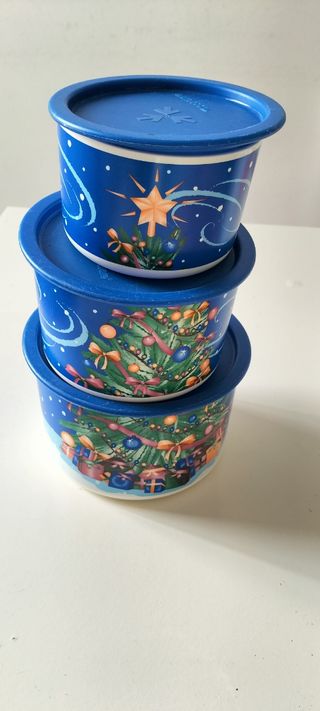 Contenitori natalizi per biscotti