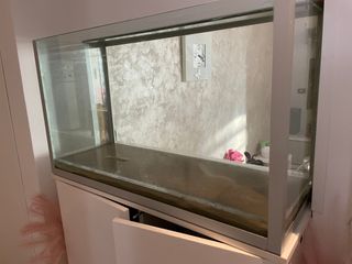 Acquario 180 litri con filtro e accessori