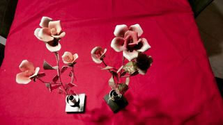 Fiori in ceramica più metallo