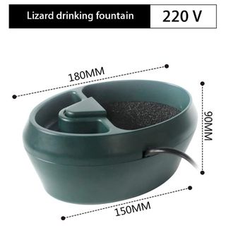 Campanelle a vento per rettili, Bevitore di lucert