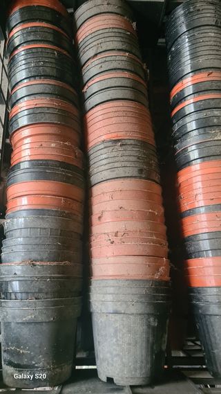 400 vasi misura 10 cm