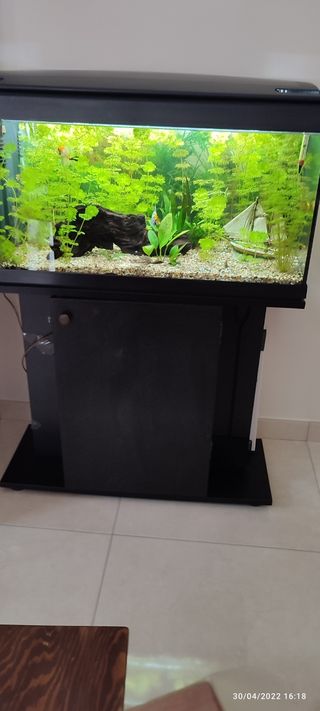 Acquario 80 LT marca milo