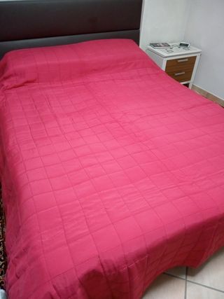 Trapunta
