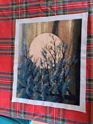 Quadro ricamato a punto croce  🌛 luna