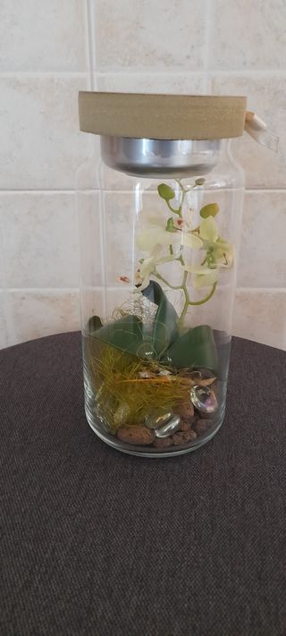 Vaso con orchidea