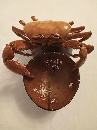 Granchio portaoggetti