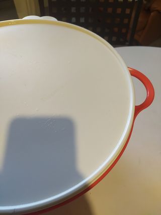 Ciotola Tupperware 14 litri