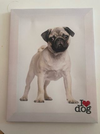 Quadretto con Carlino