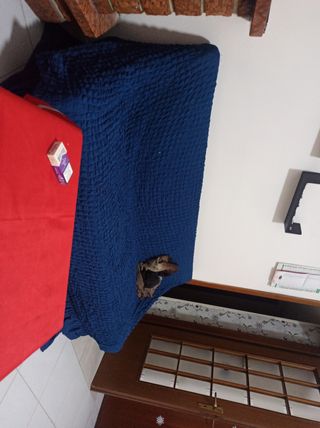Divano