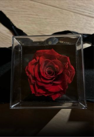 Rose Box - Scatola con rosa