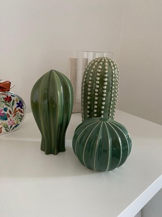 cactus accessori