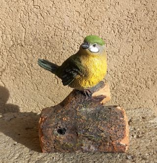 Modellino uccelli cinguettante