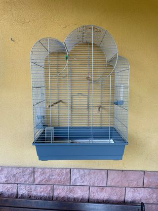 Gabbia Pappagalli