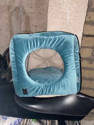 Cuccia Gatto Chambord Verde Pavone