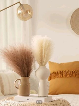 Piume decorative