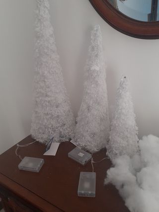 Alberi a Cono natale