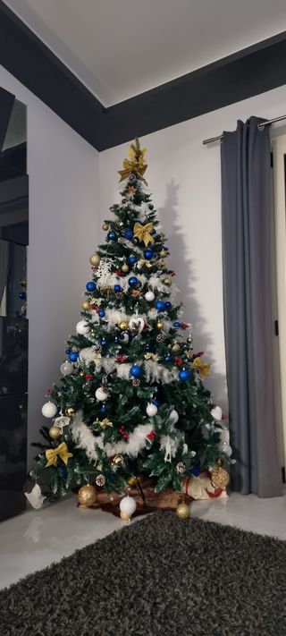 Albero di natale