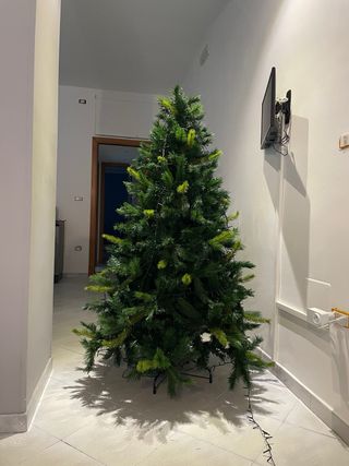 Albero di Natale