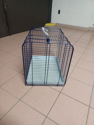 Trasportino per gatti
