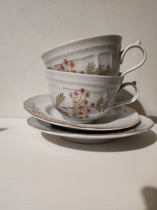 Set due tazze da tè Royal Tognana