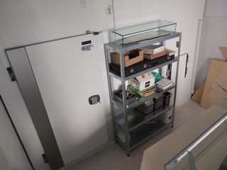 Cella  negativa -30 professionale