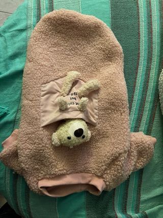 maglia cane taglia piccola